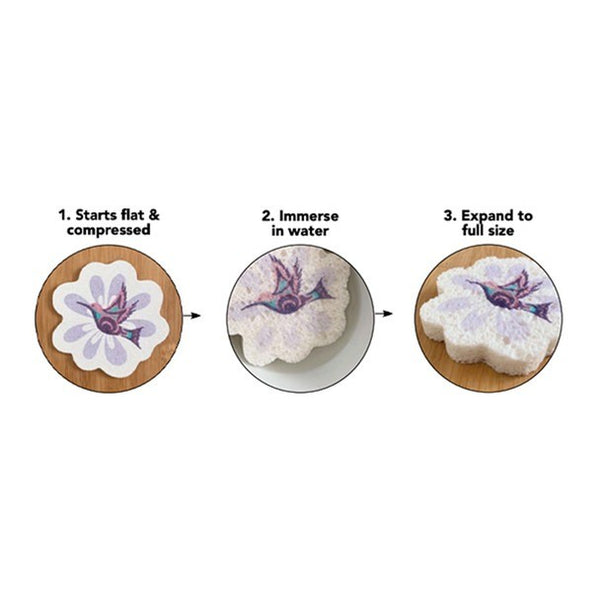 Native Northwest Eco Sponge Butterfly - iQ living